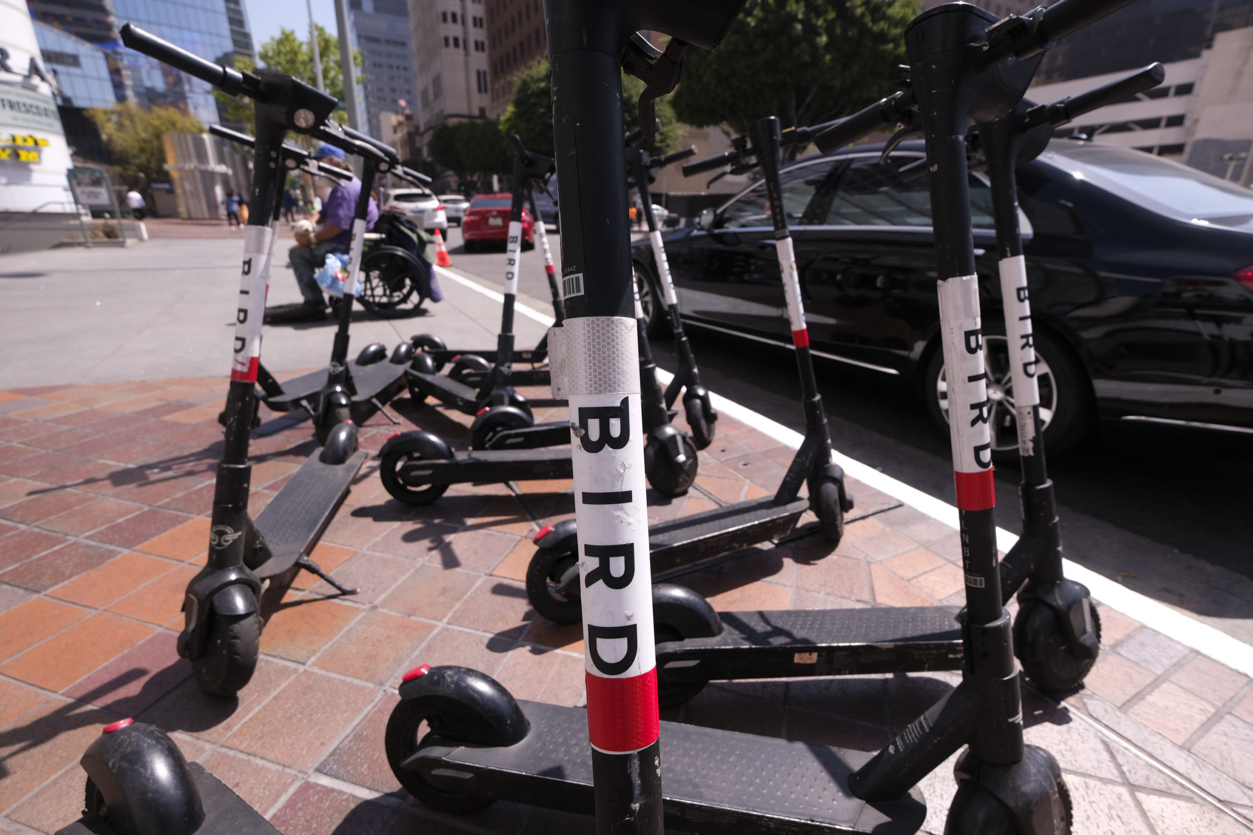 Bird Revenue Rebounds From Pandemic Lows - Los Angeles Business Journal