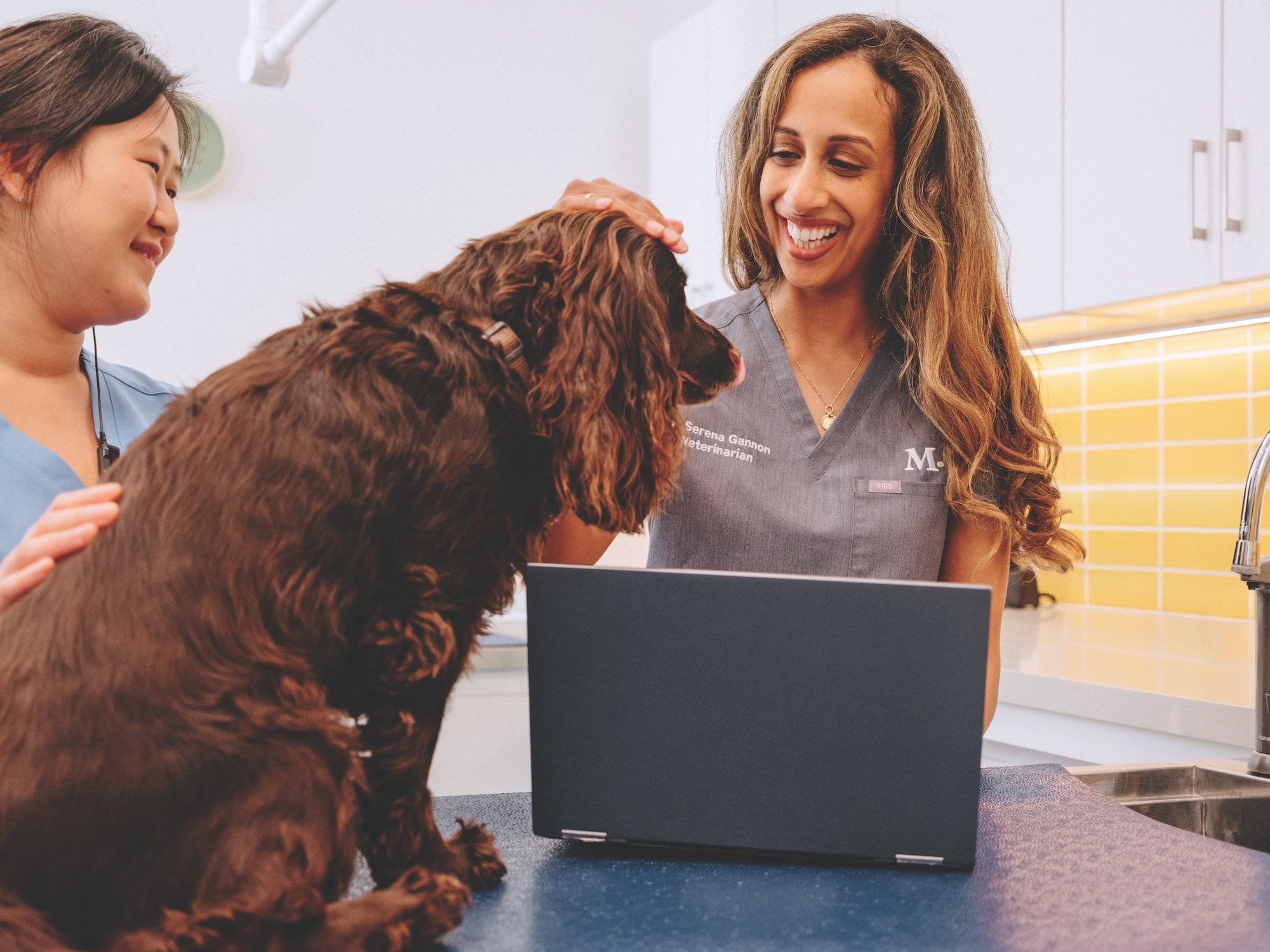 Modern Animal Goes National - Los Angeles Business Journal